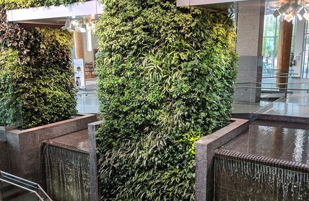 Nedlaw Biofilter Living Walls | Clean Air Indoors - Terra Landscaping